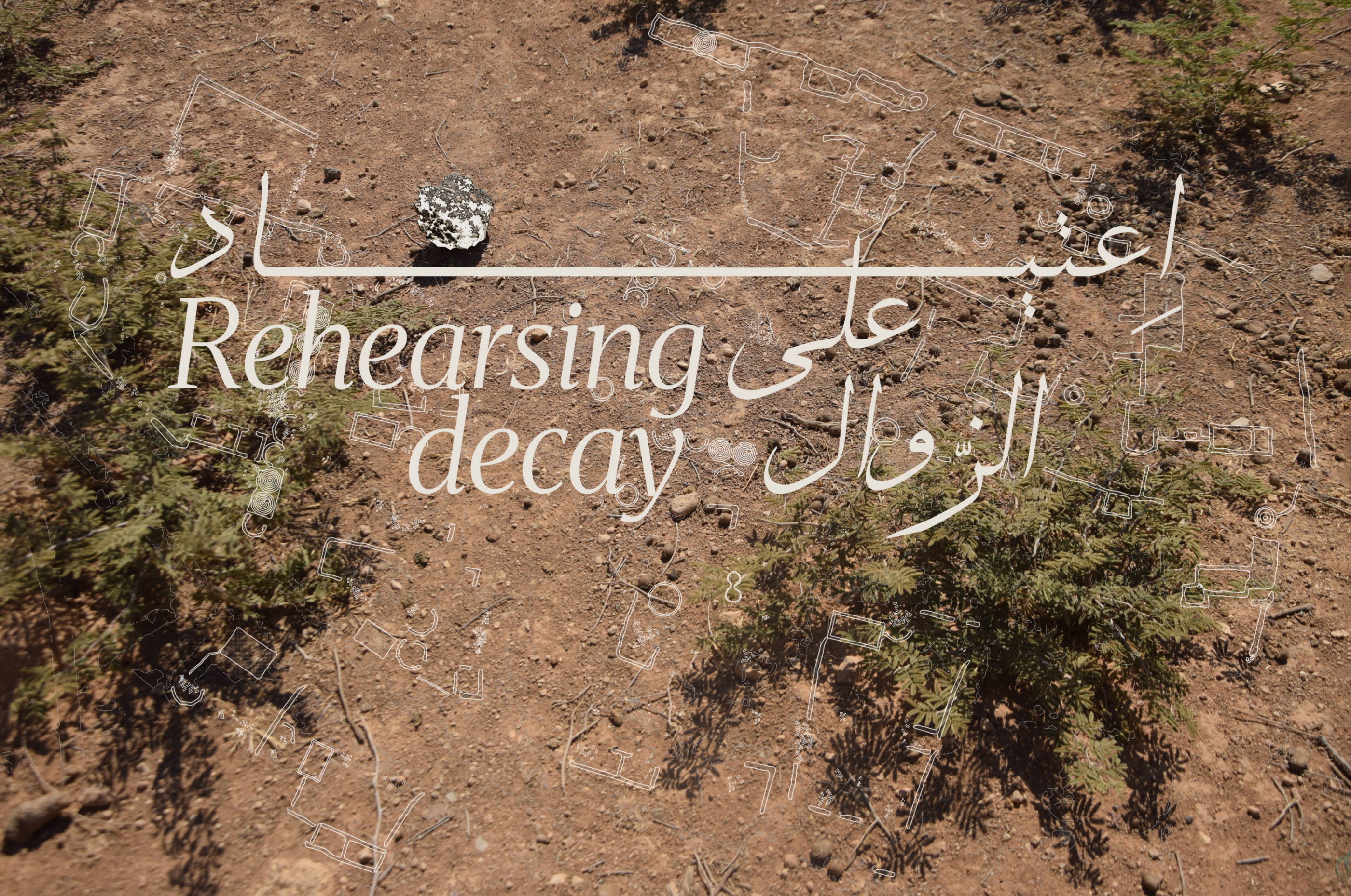 Rehearsing Decay | Architecture Fringe