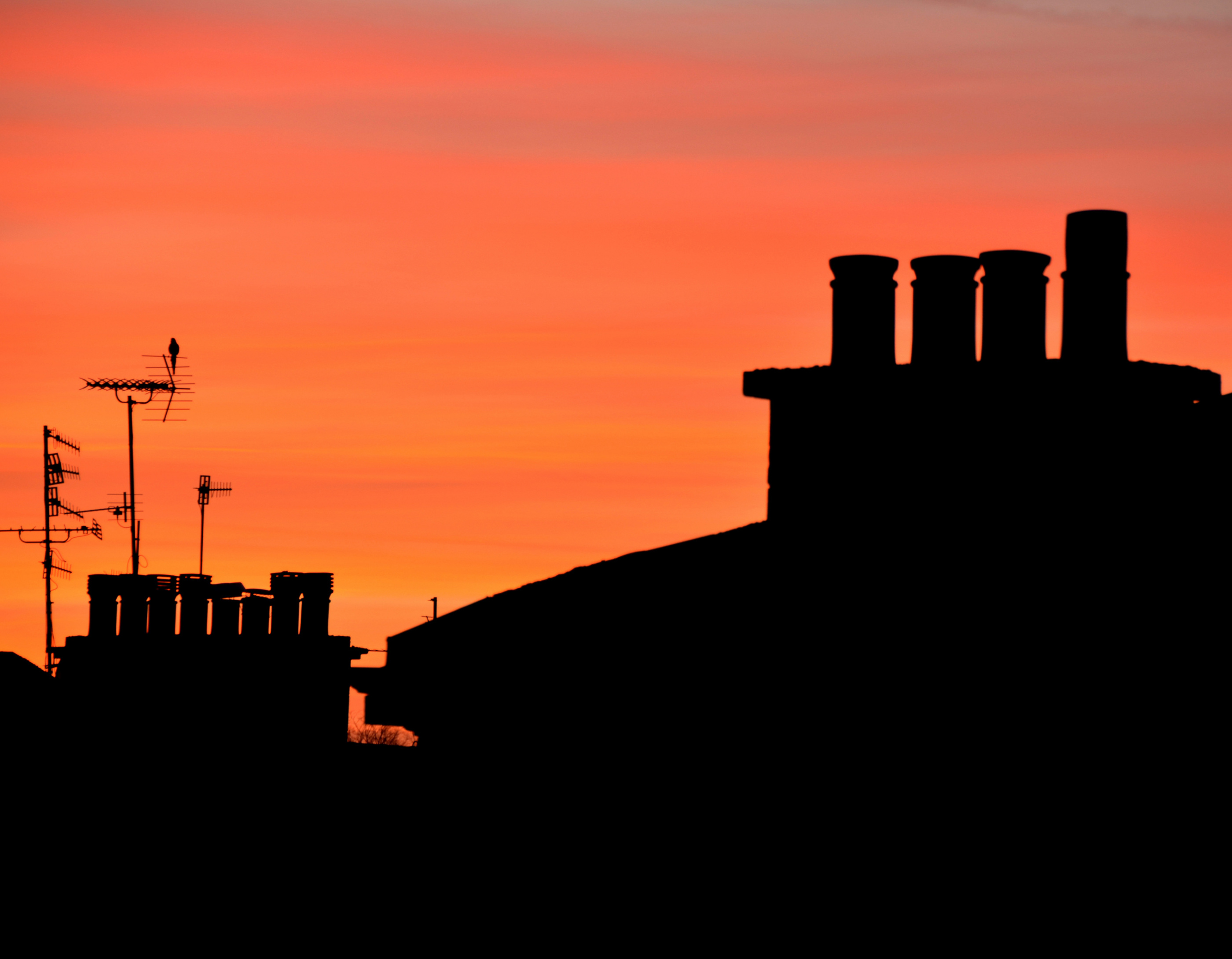 Tenements Talking - The 100 Year Old Journey of… | Architecture Fringe