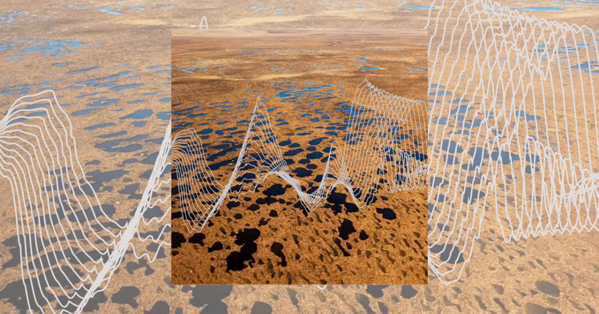 Floi | Architecture Fringe